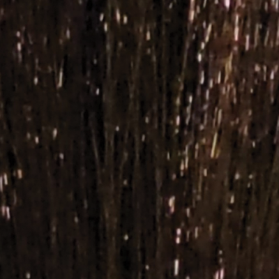 Shop Our Brands - Angelo’s SDG